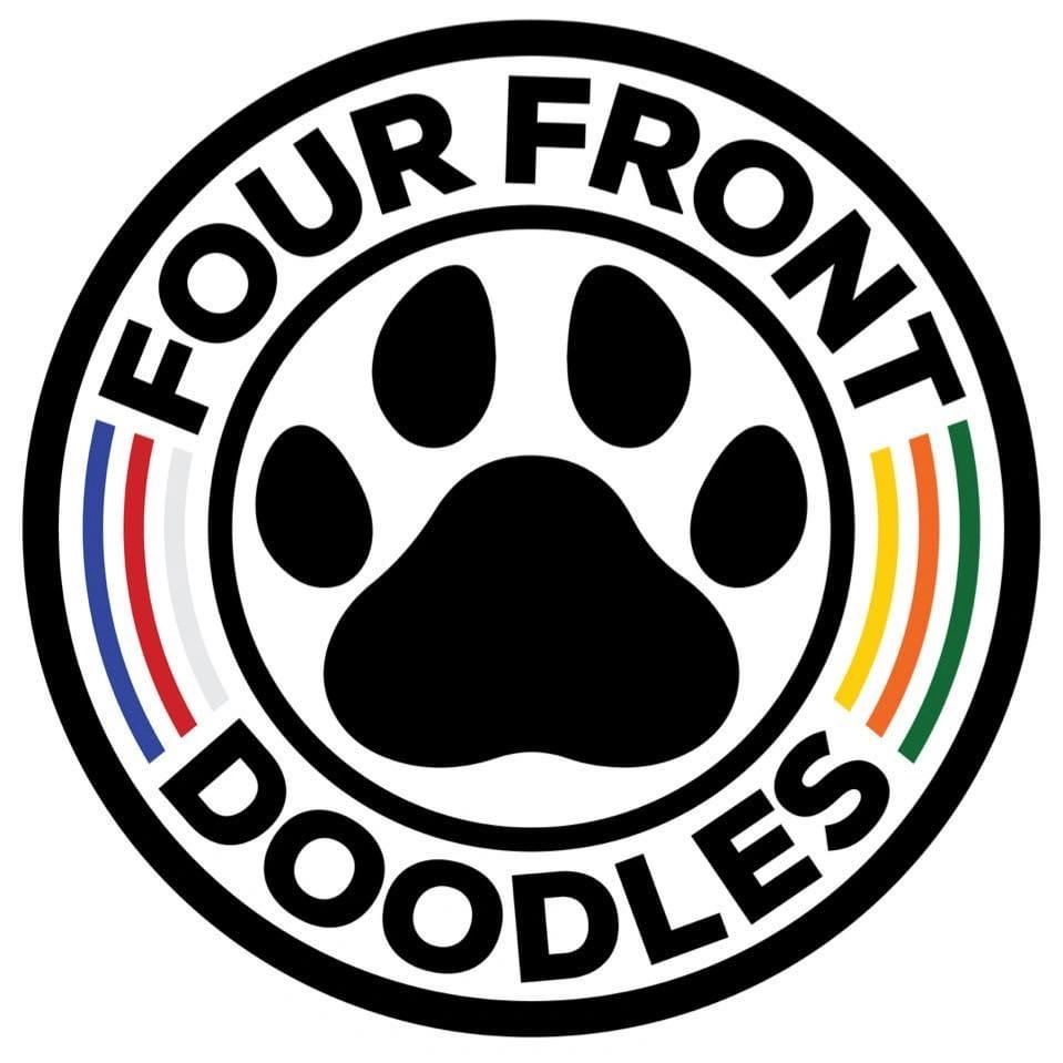 Four Front Doodles LLC.