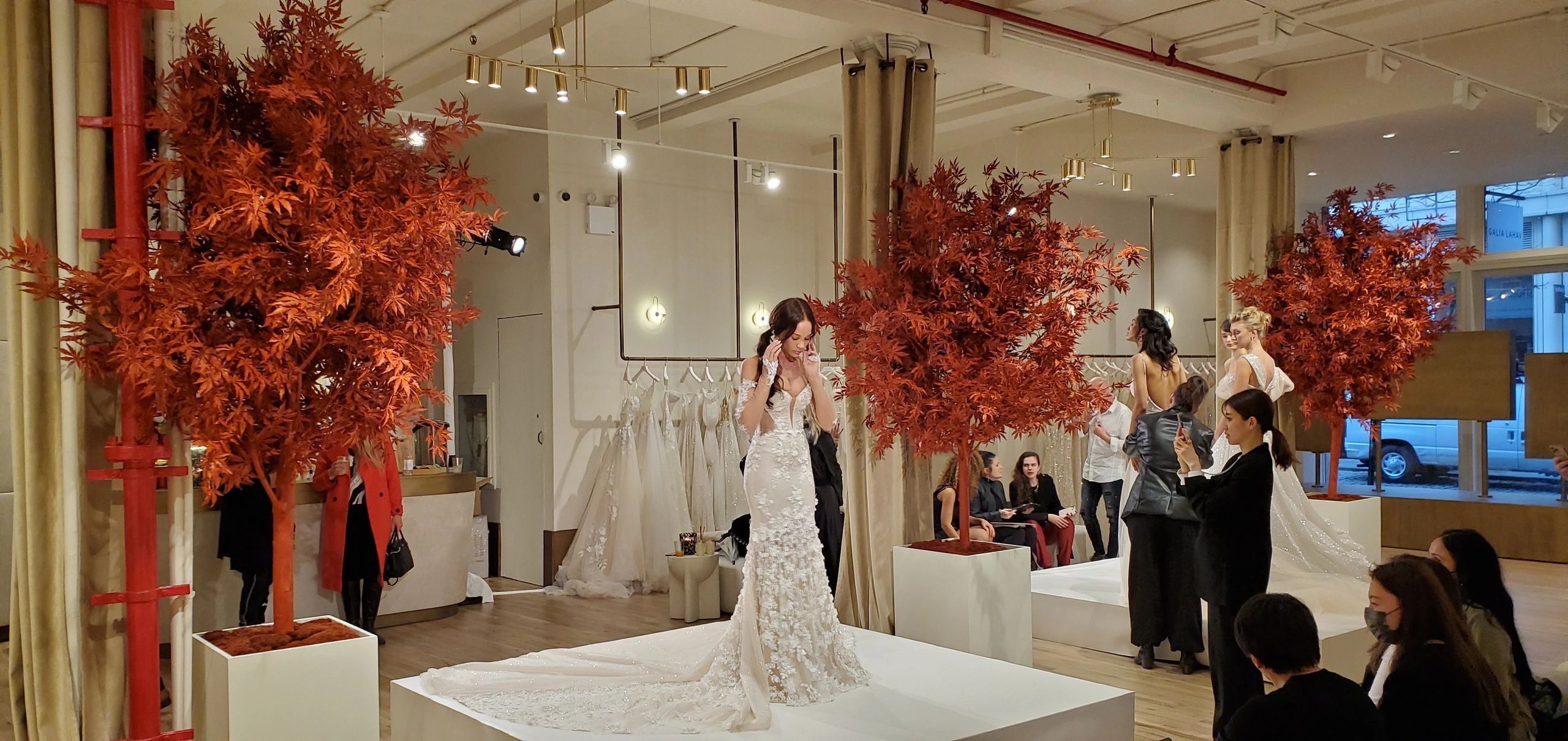 Tree Rental NYC | Sustainable Event Rentals