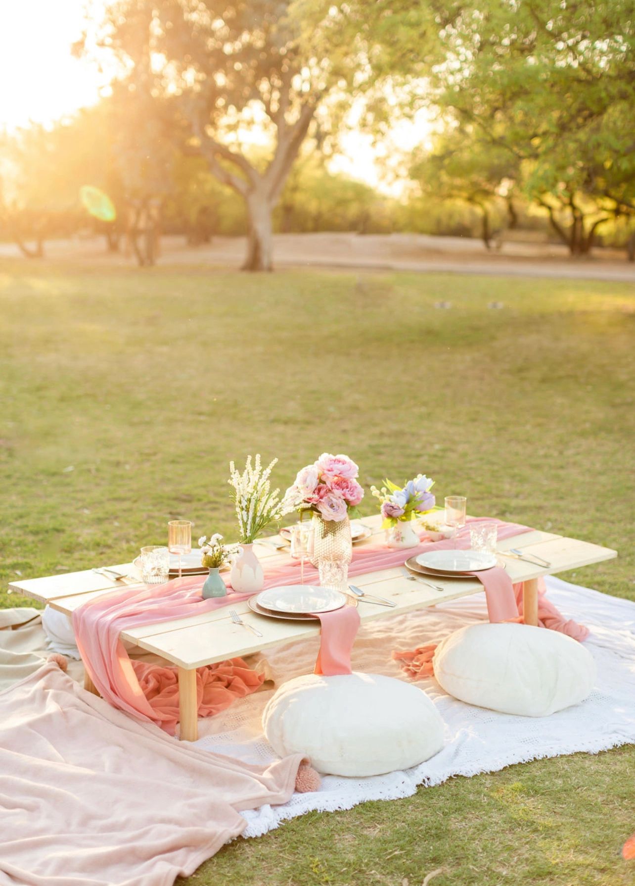 Luxury Picnic Rental | Desert Sky Party Rentals