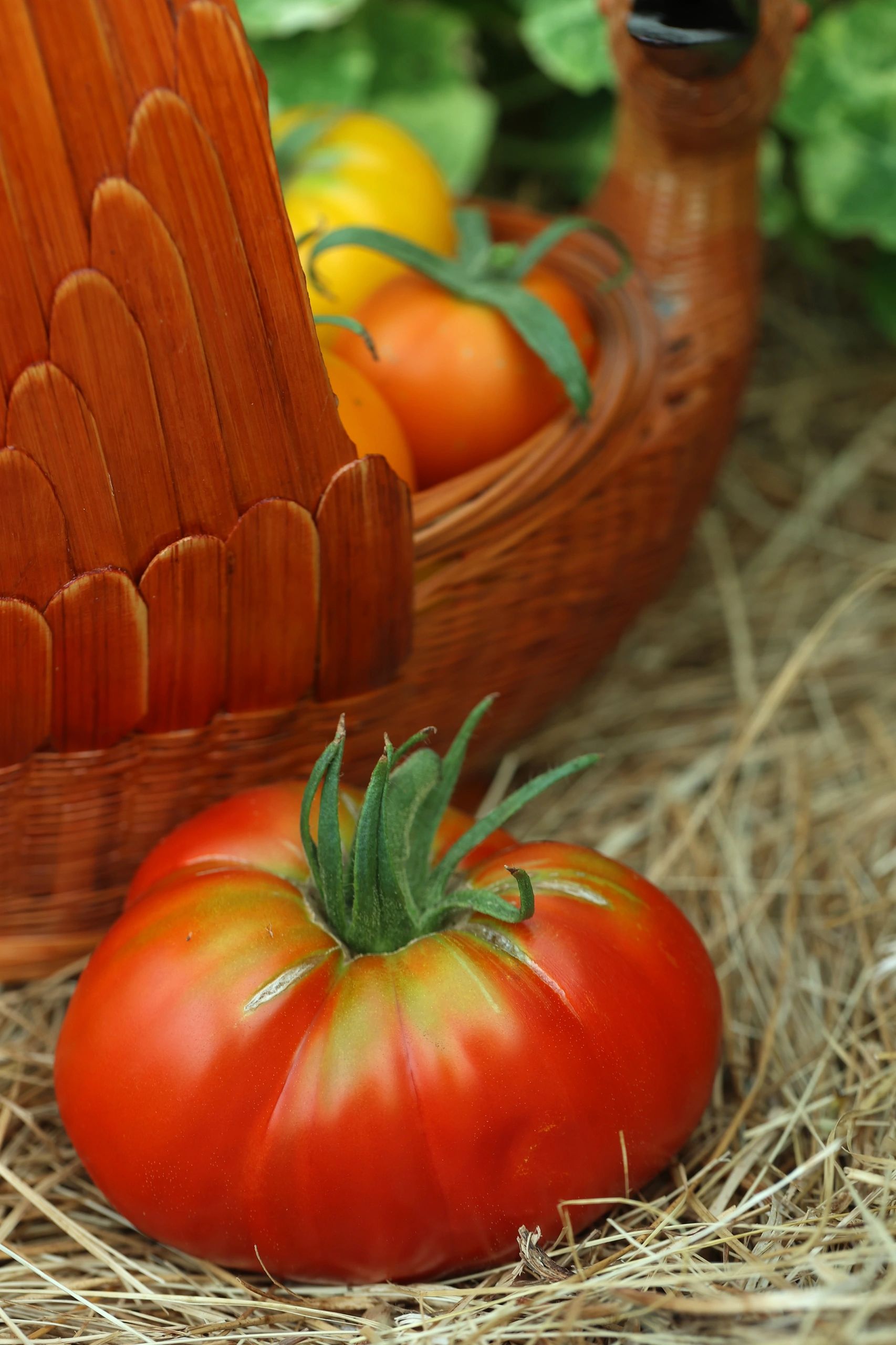 Not Your Same Old Boring Vegetables