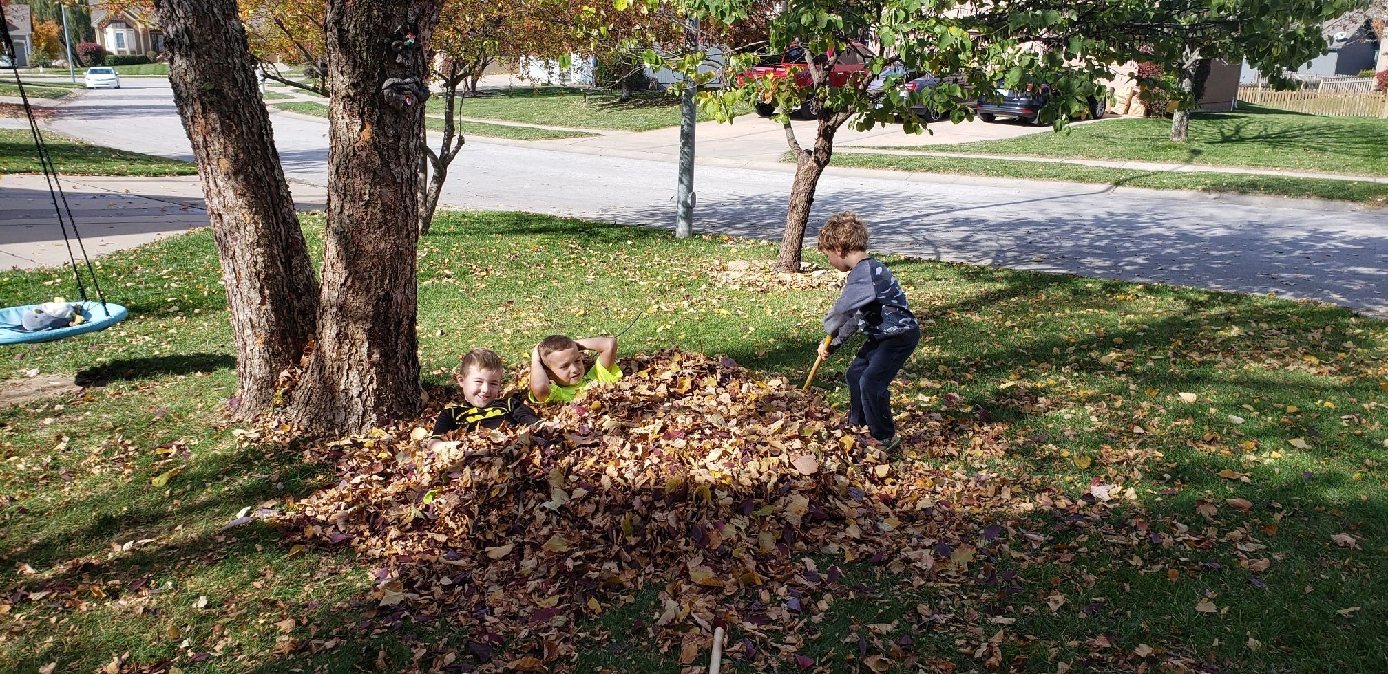 Leaf Collecting