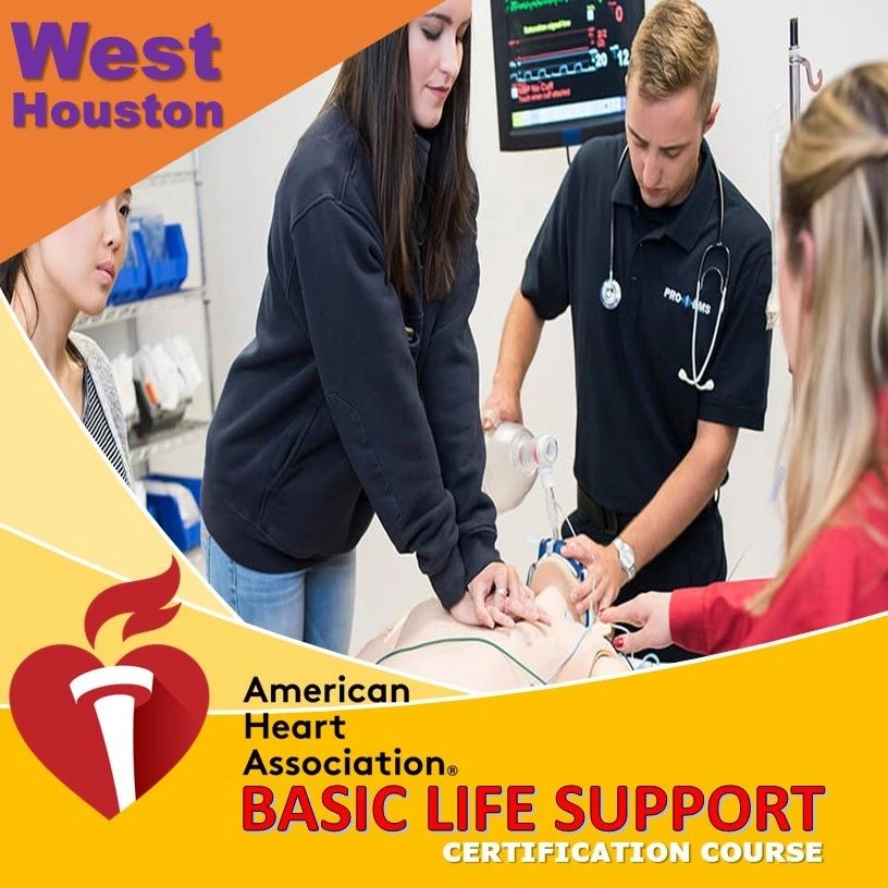 AHA BASIC LIFE SUPPORT CLASS - WEST HOUSTON