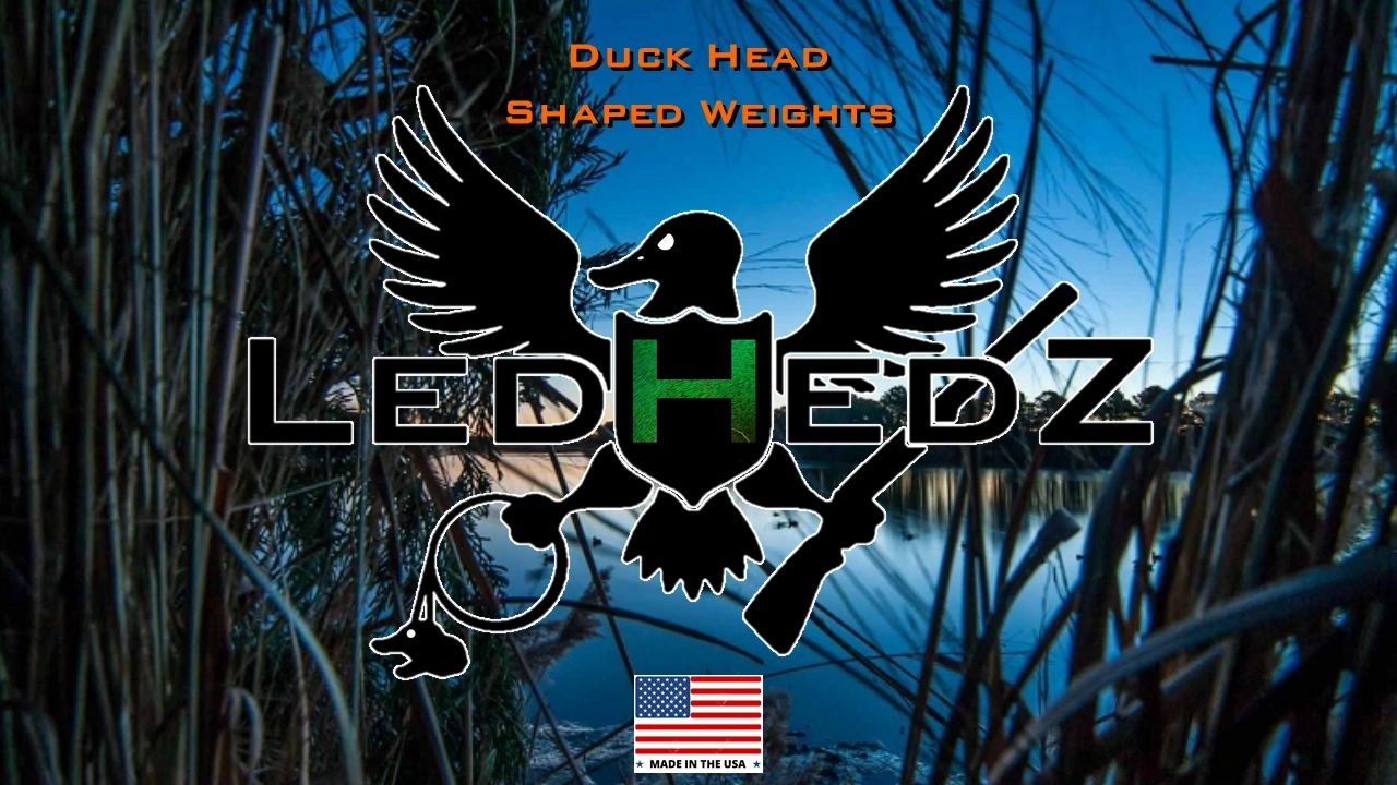 Ledhedz