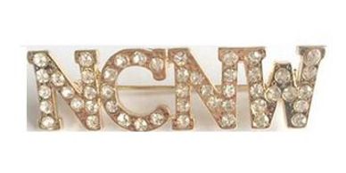 Order NCNW Pins Today! | Reston-Dulles Section, National Council of ...