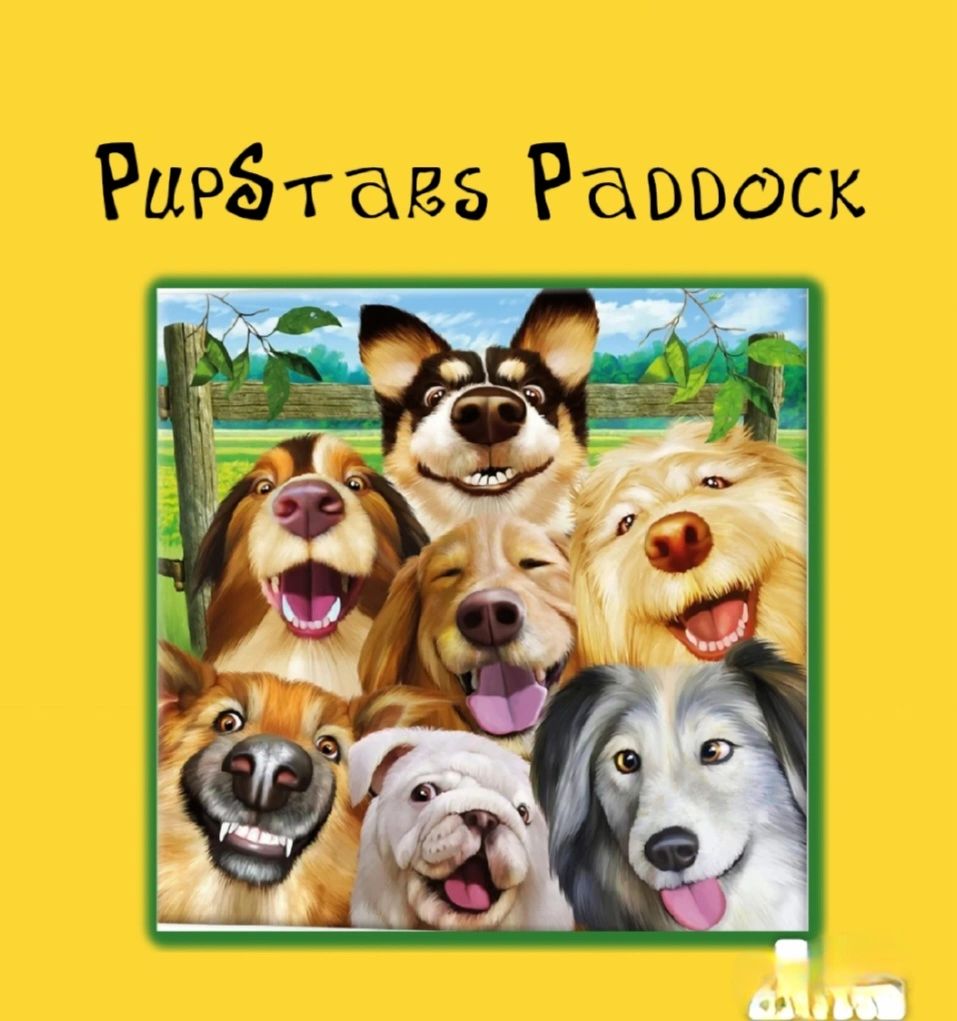 pupstarspaddock.co.uk