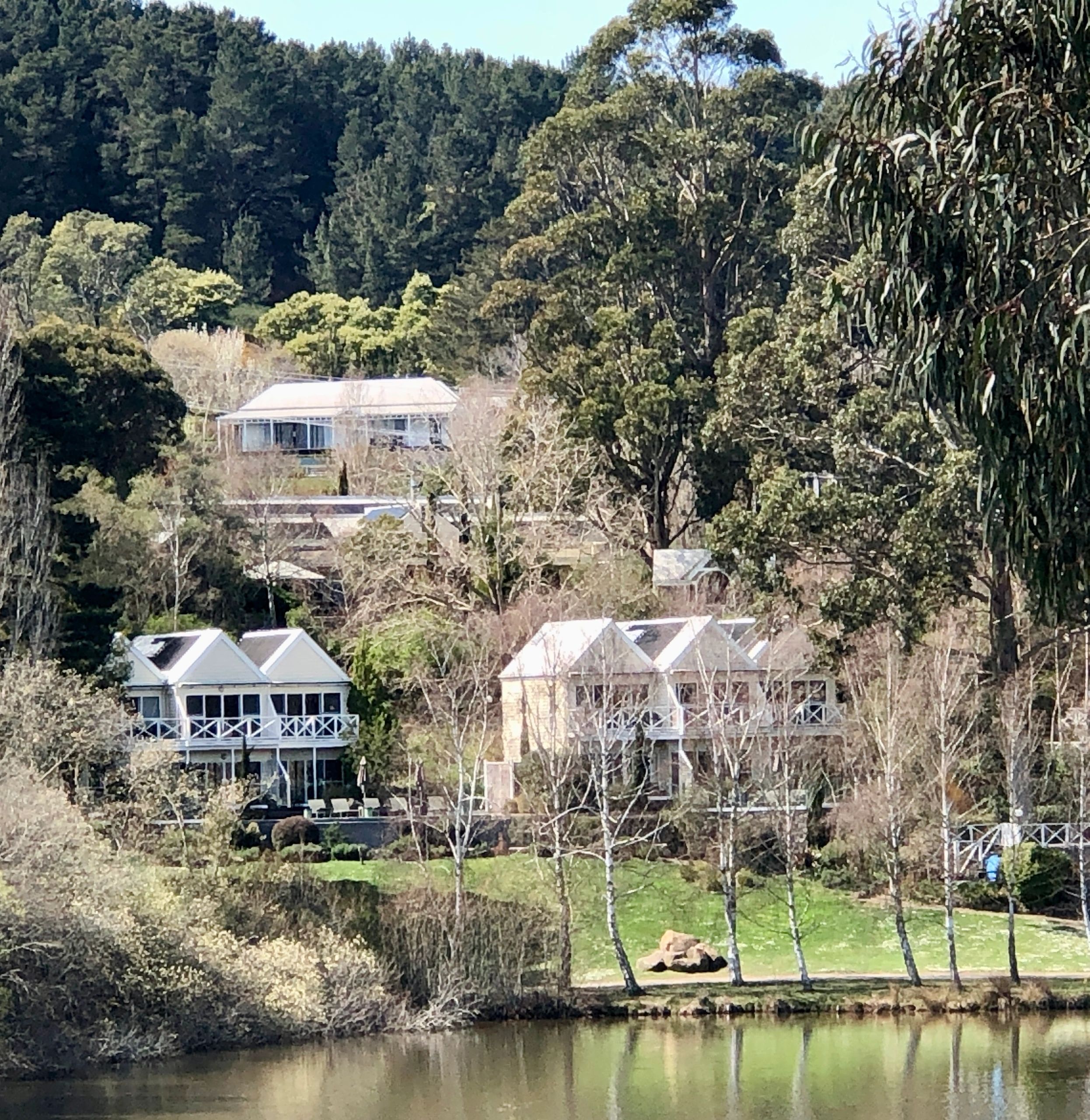 Sue Edmonds Buyer's Agent