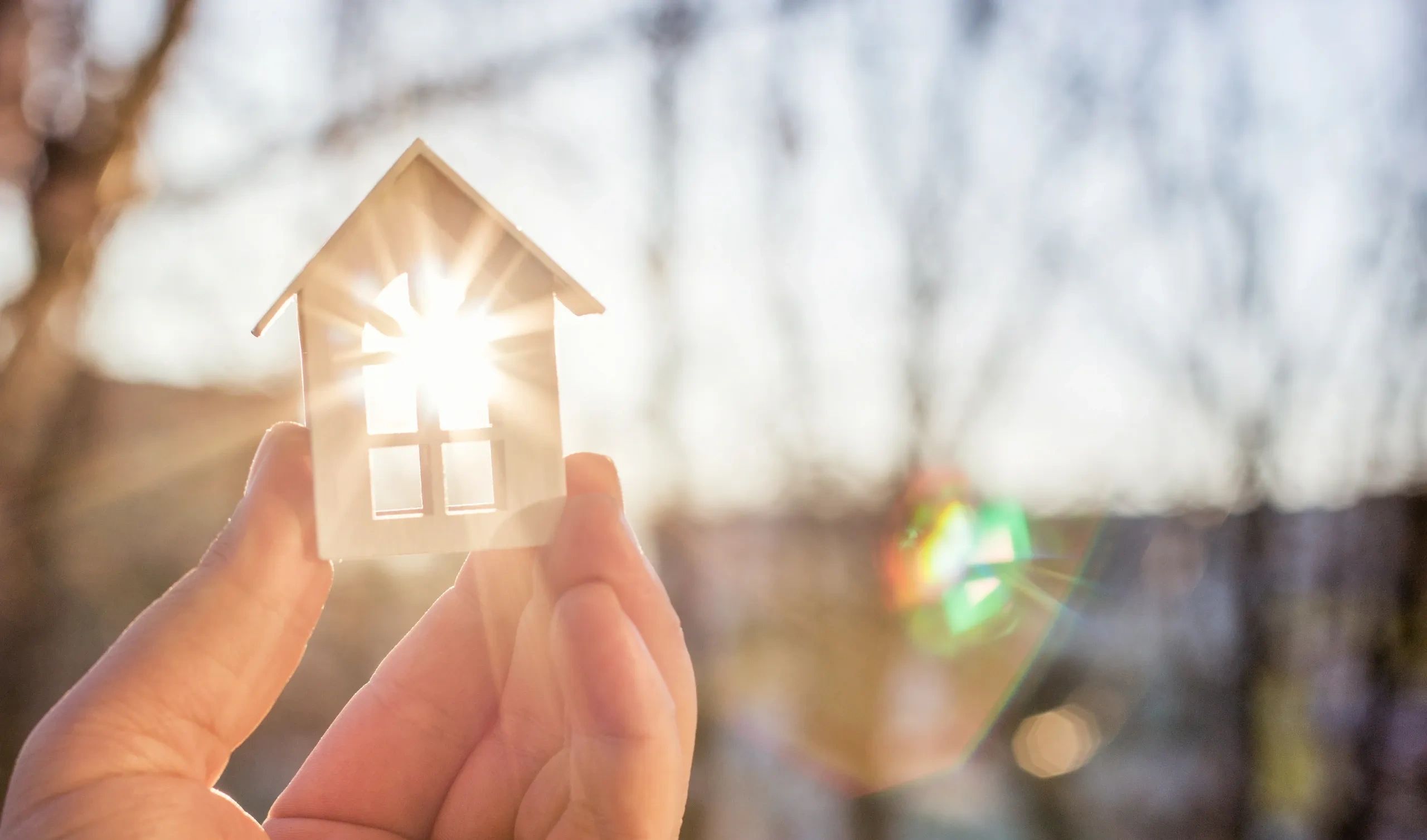 Sue Edmonds Buyer's Agent