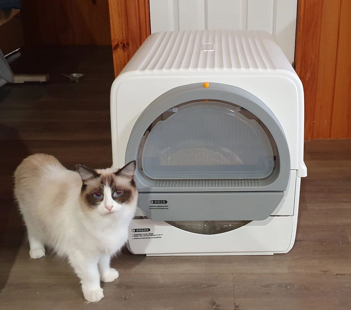 Semi-Automatic Cat Litter Box
