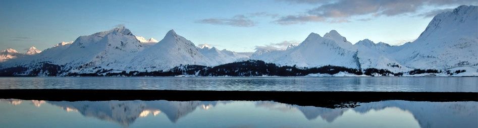 Bio | Rittmann Capital Management