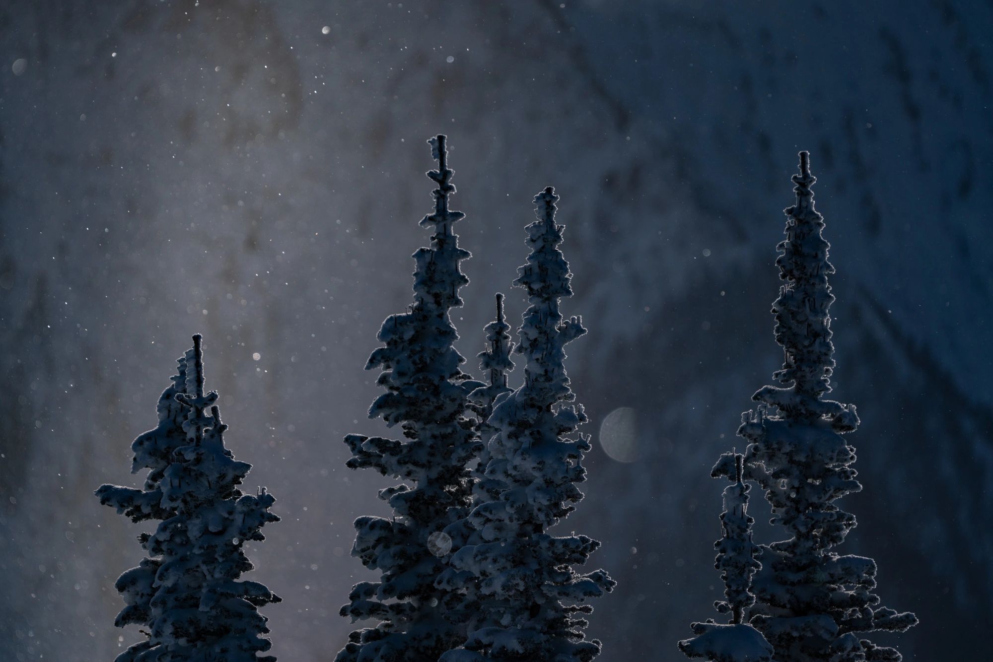 Columbia Mountain Creative