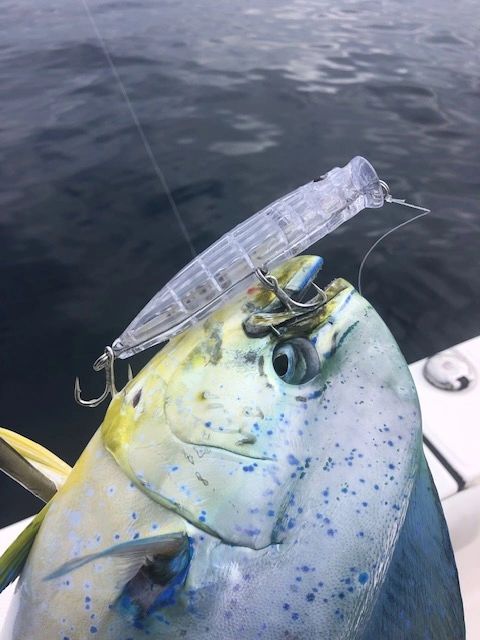GHOST 130 Clear Popper