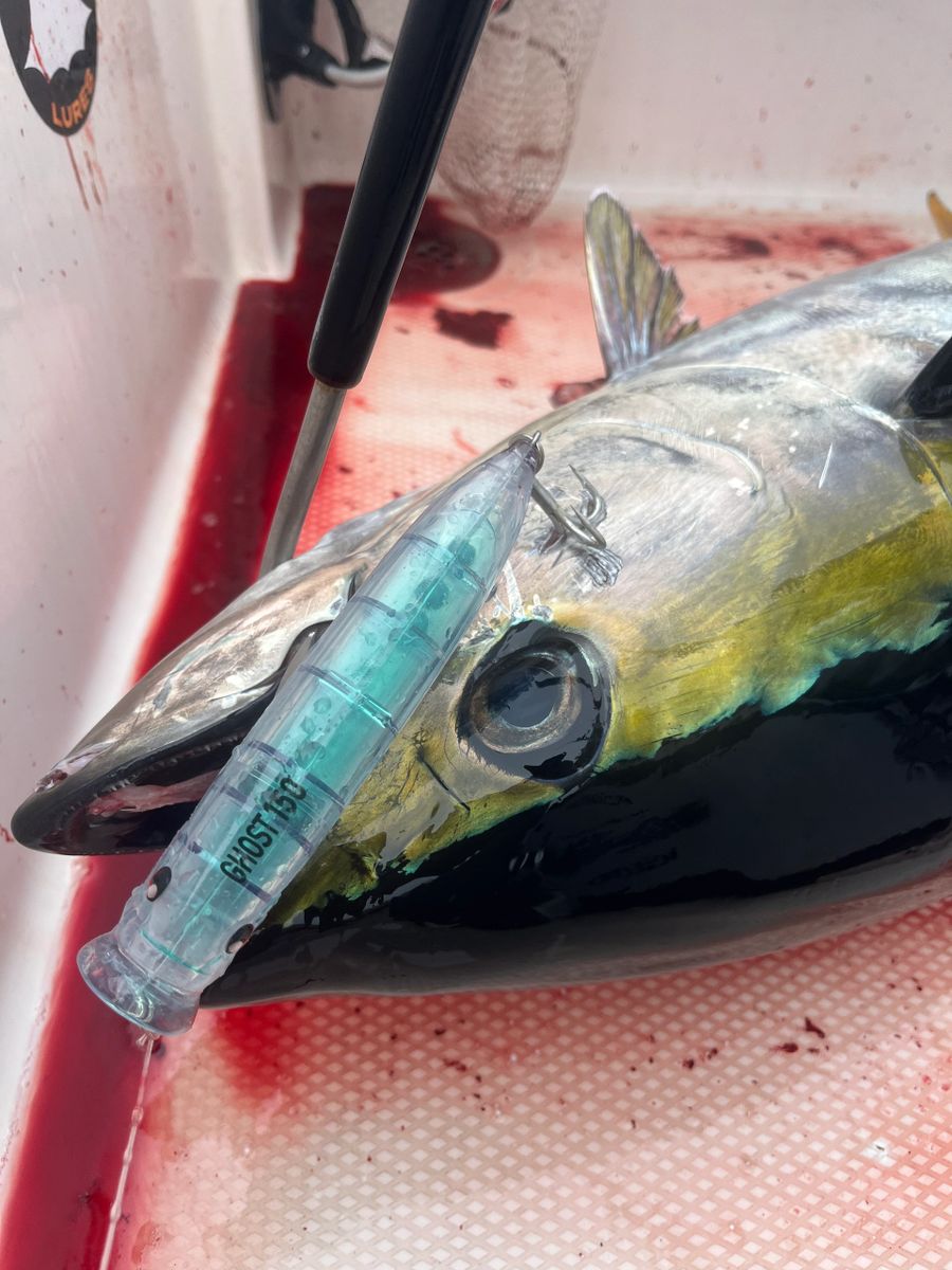 GHOST 150 Mint Clear Popper