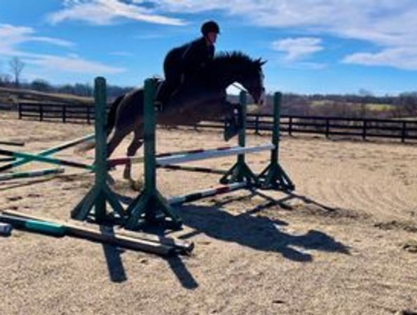 LESSONS AND TRAINING