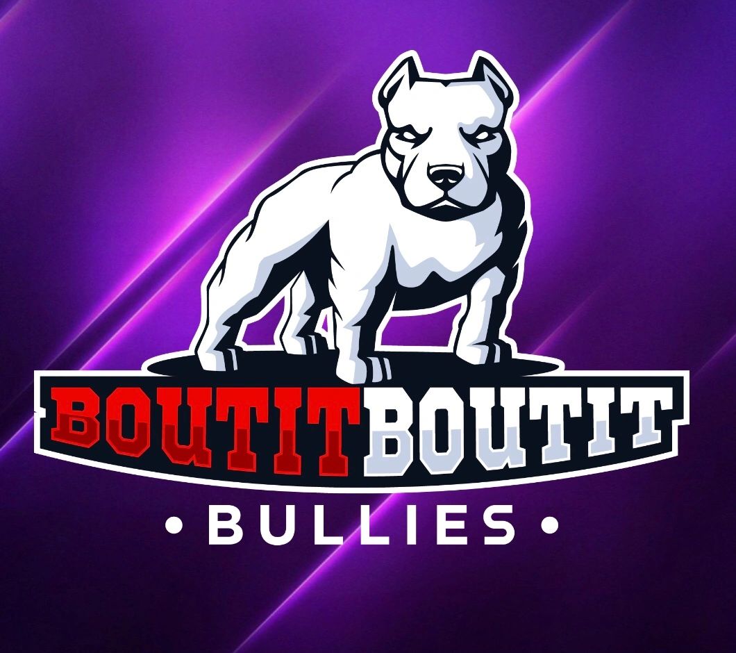 Boutit Boutit Bullies
