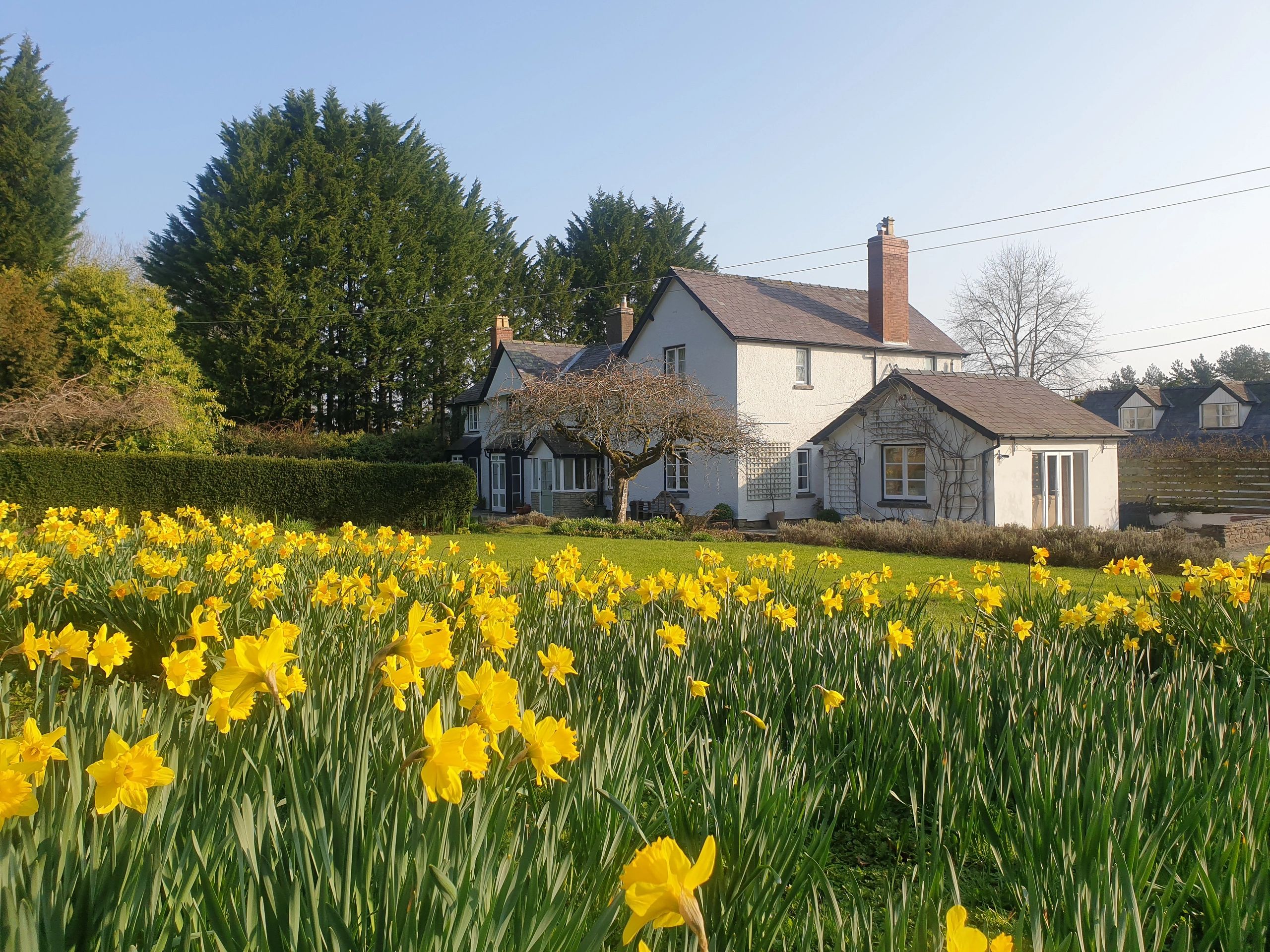 Lower House B&B