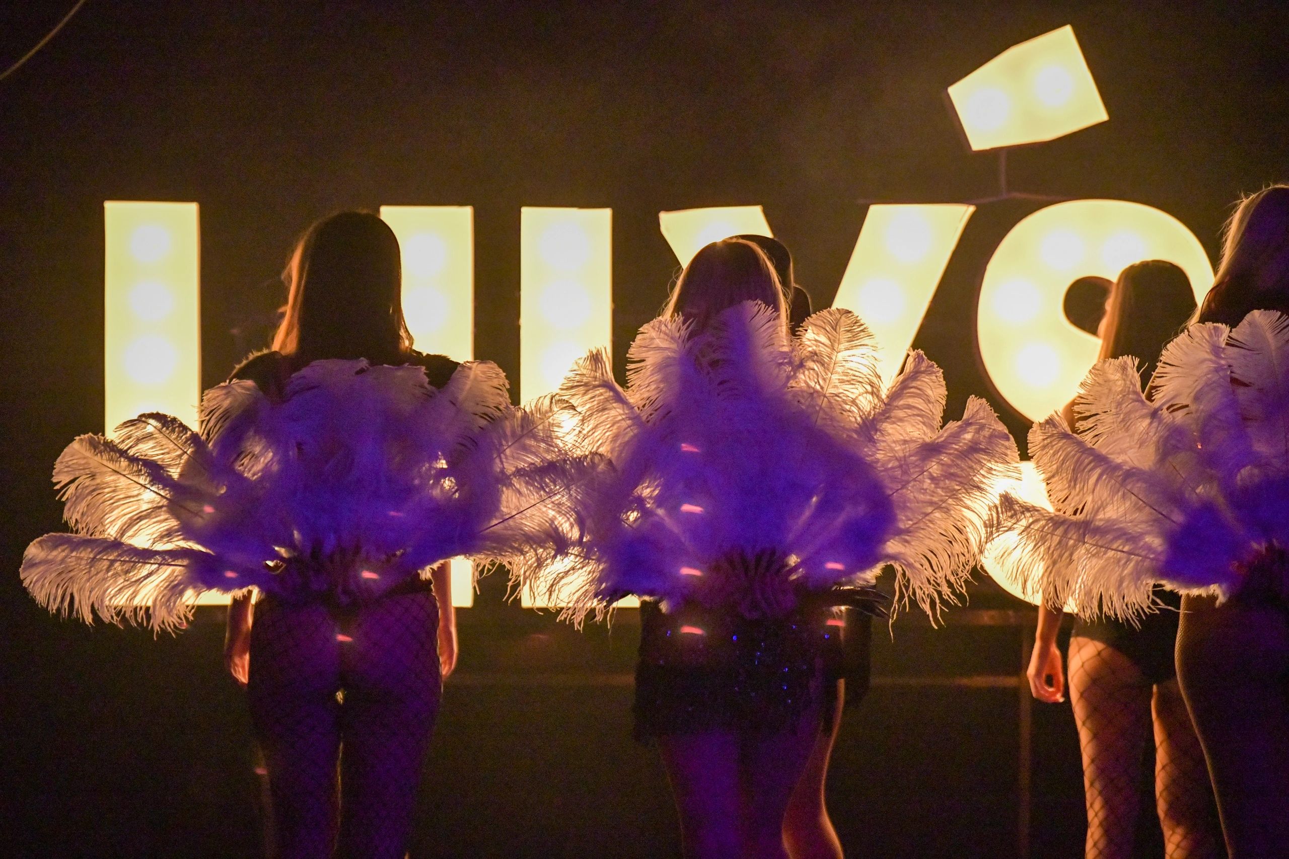 Cirque du Femme - Burlesque, Aerial Entertainment