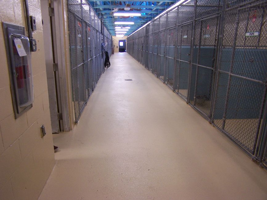 About Us | Smart Surfaces