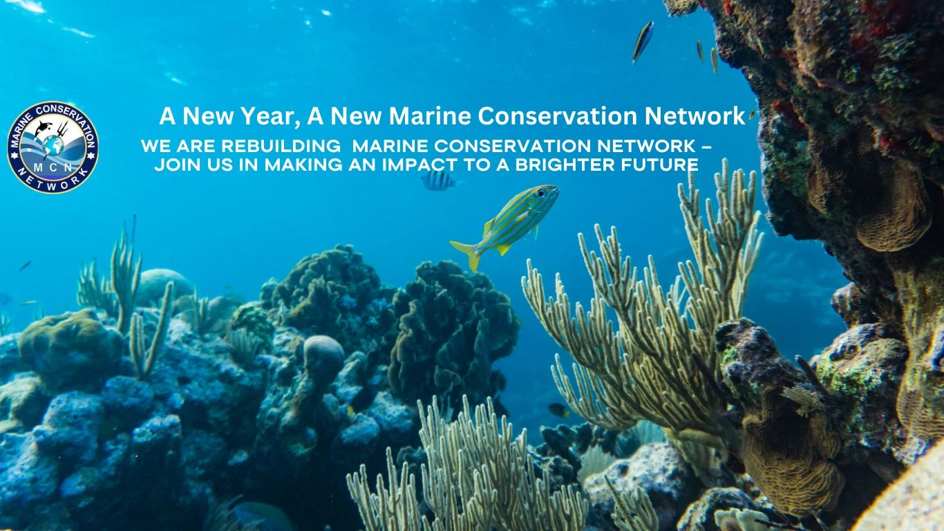 Home [marineconservationnet.org]