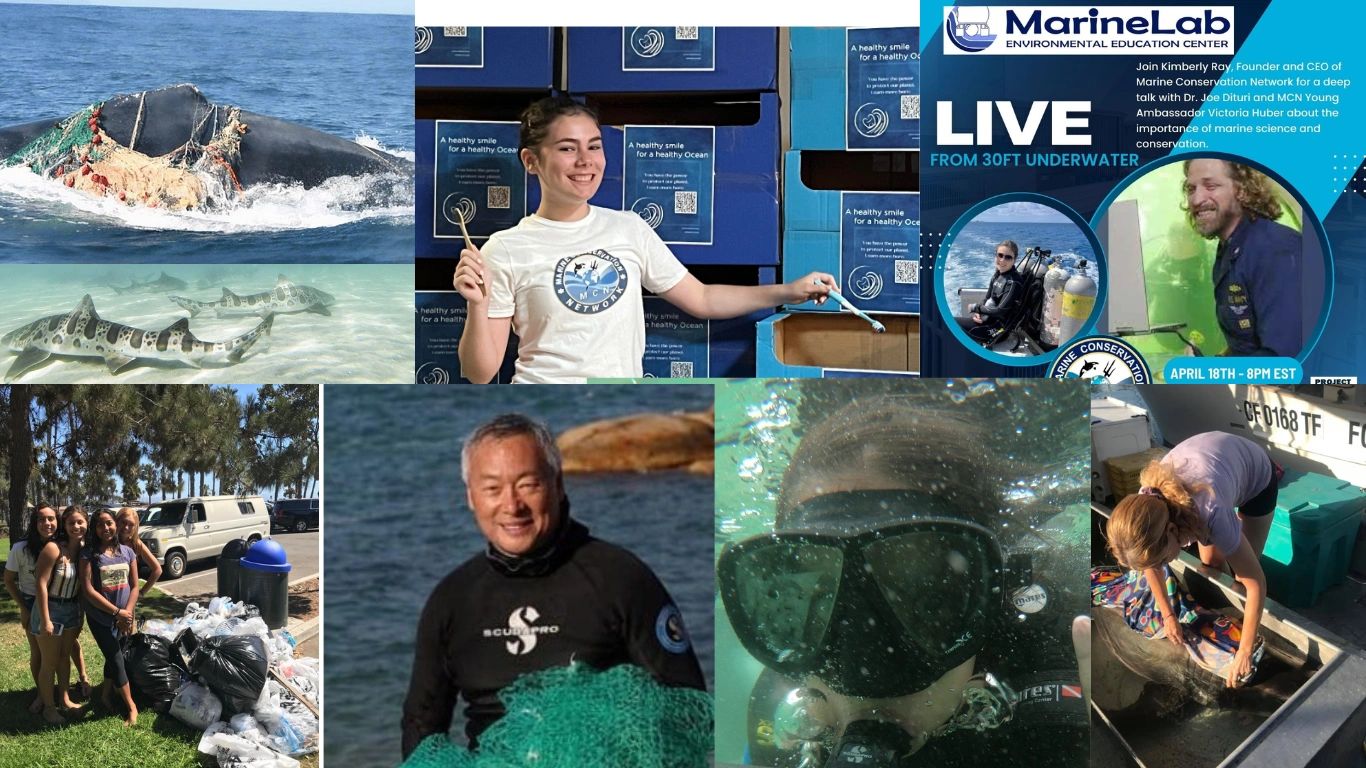 Home [marineconservationnet.org]