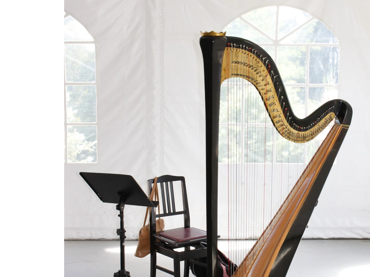 Harp Instruction - Thompson School of Music