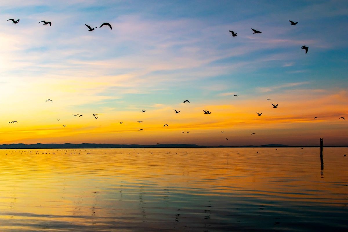 Sequim Tiny Home Village