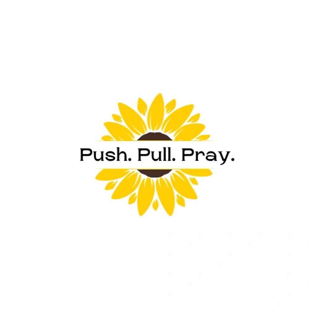 Push Pull AND Pray LLC