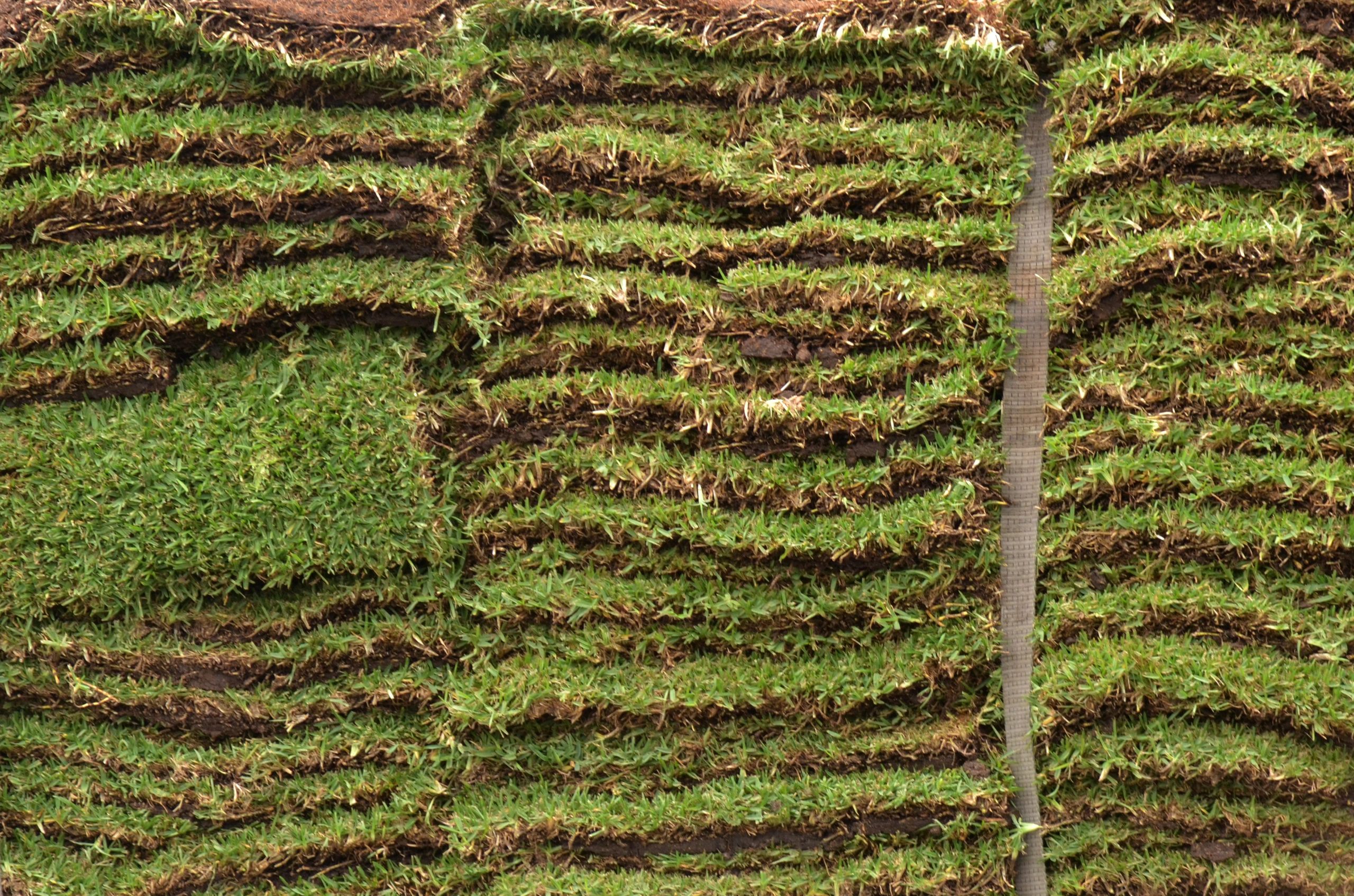 Riverside Landscaping