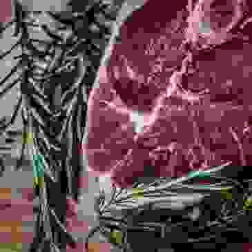 Meat Market - Joe's Meat Market. Freshest meat in town | Joe's Meat ...