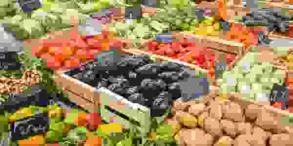 Healthy Harvest Farm - Organically Grown, Agriculture, Csa