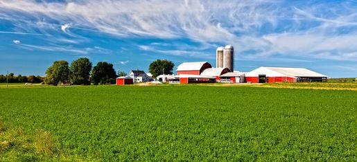 Prairie Dirt Solutions - Soil, Mulch, Compost