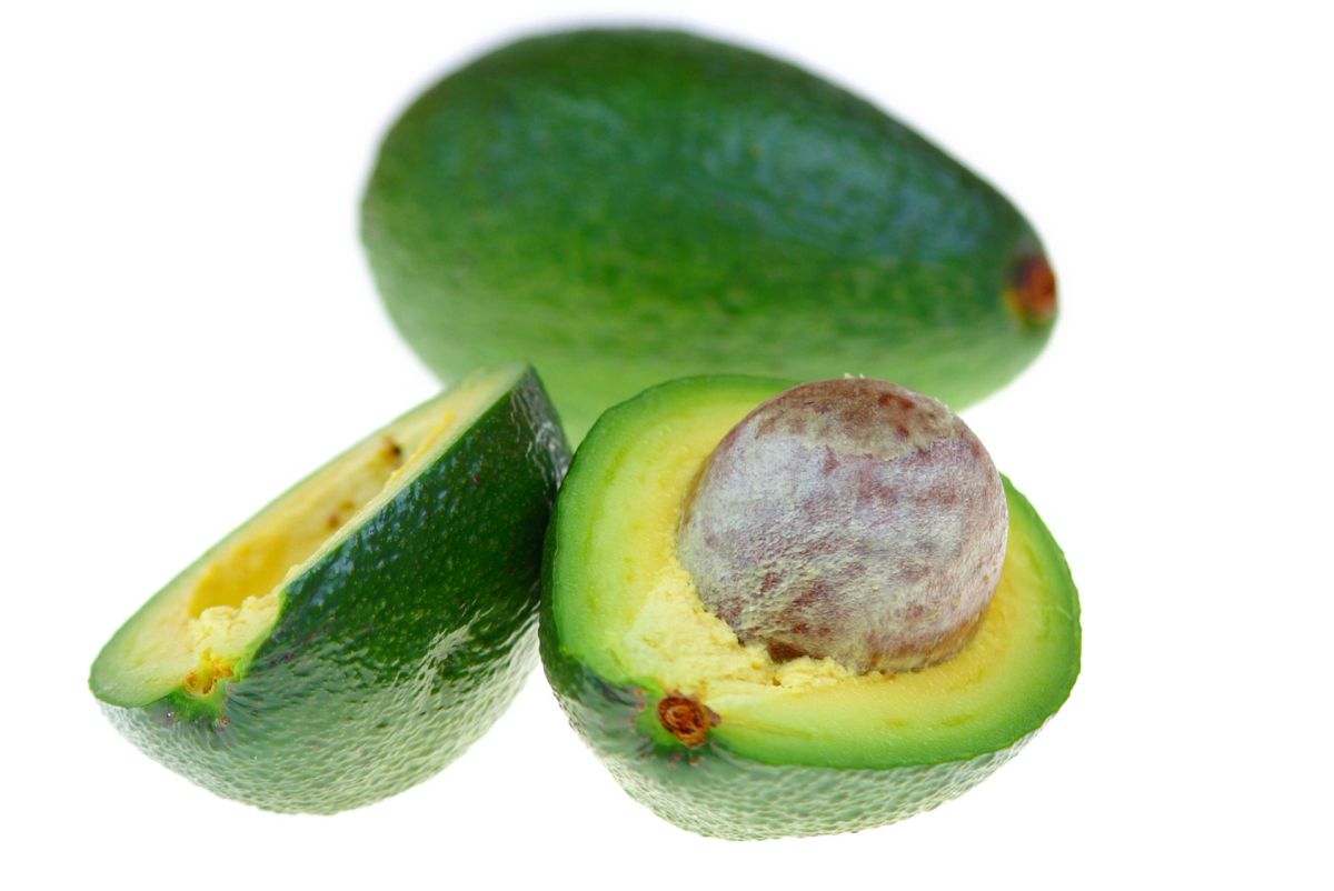 Avocado, Nadir - sold individually