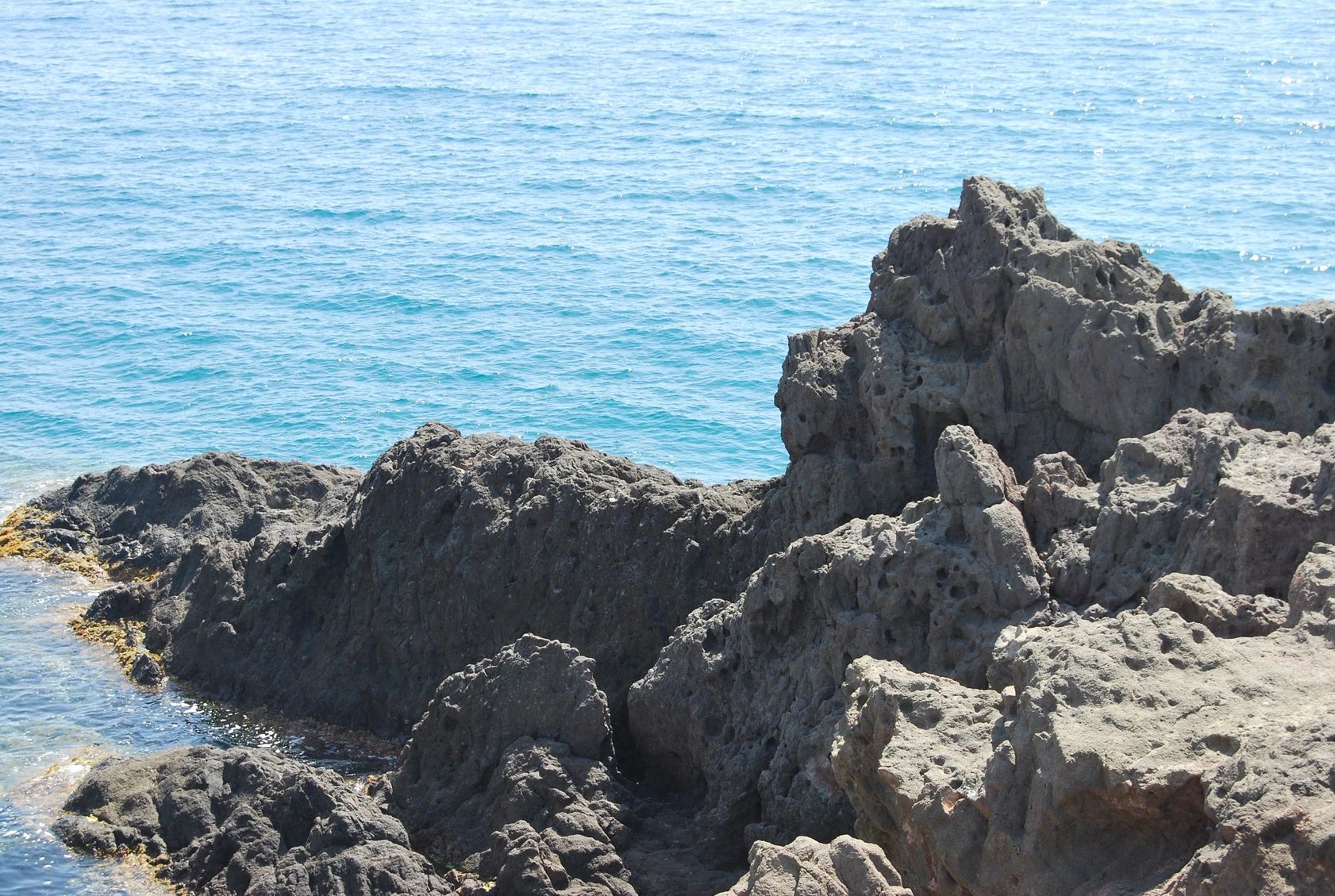 High Hue - Chrondus Crispus, Chrondus Crispus, Health, Irish Sea Moss