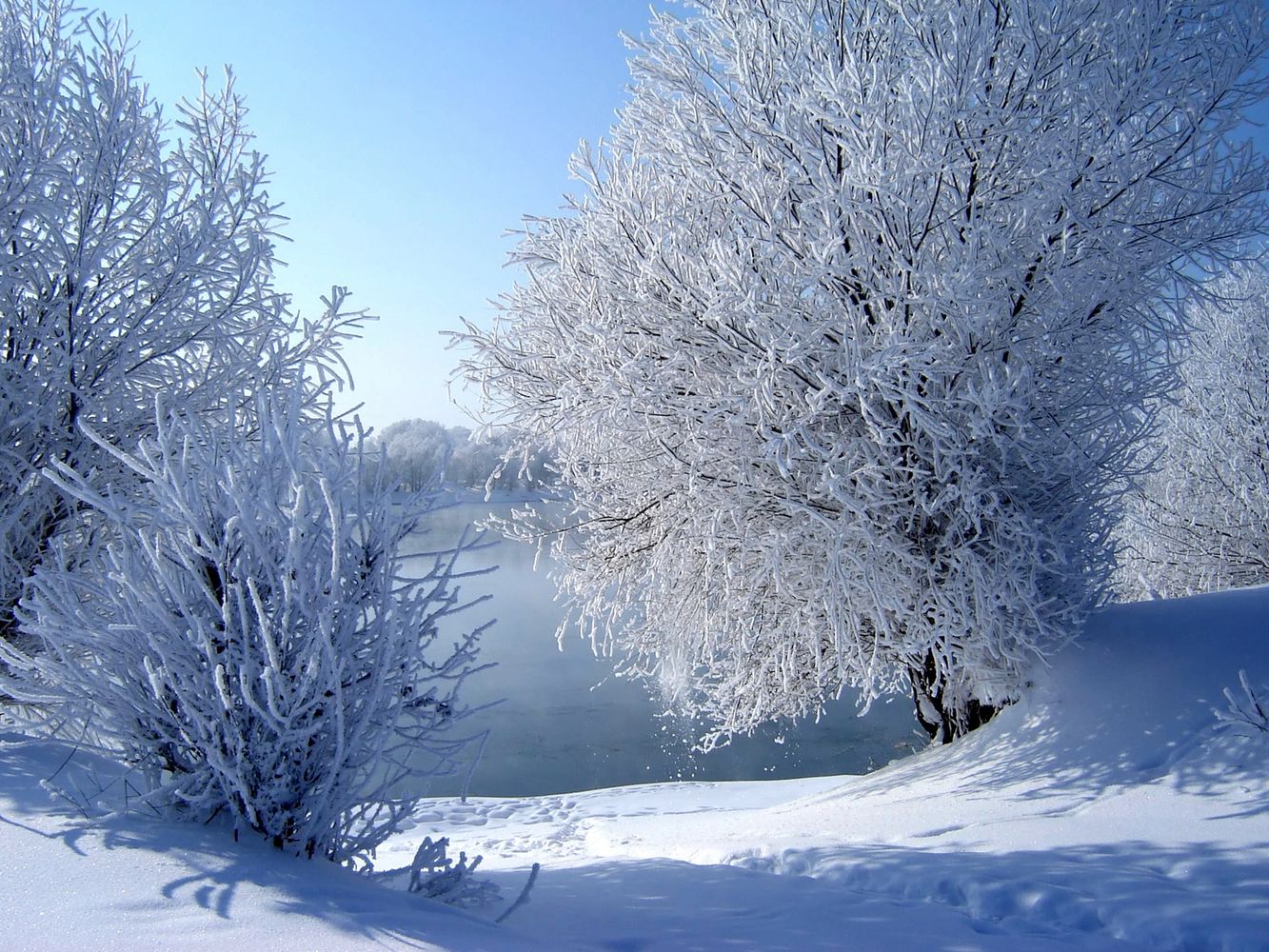 Donna Livingston - Psychic Medium