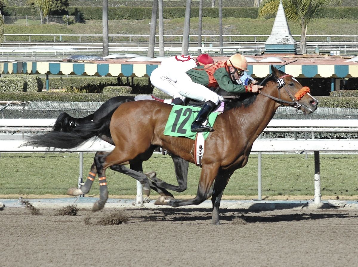 Elbin Art's Oval Product Series