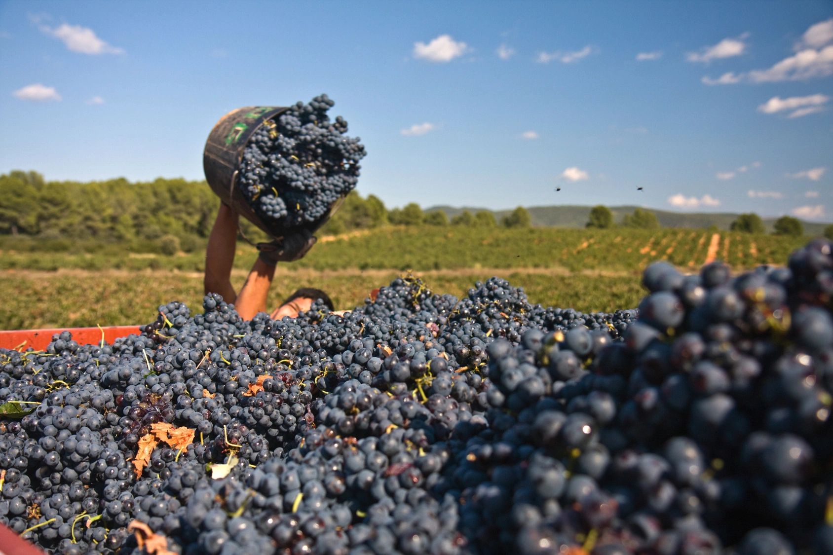 Food Colonialism: Tracing its Impact on Black Communities