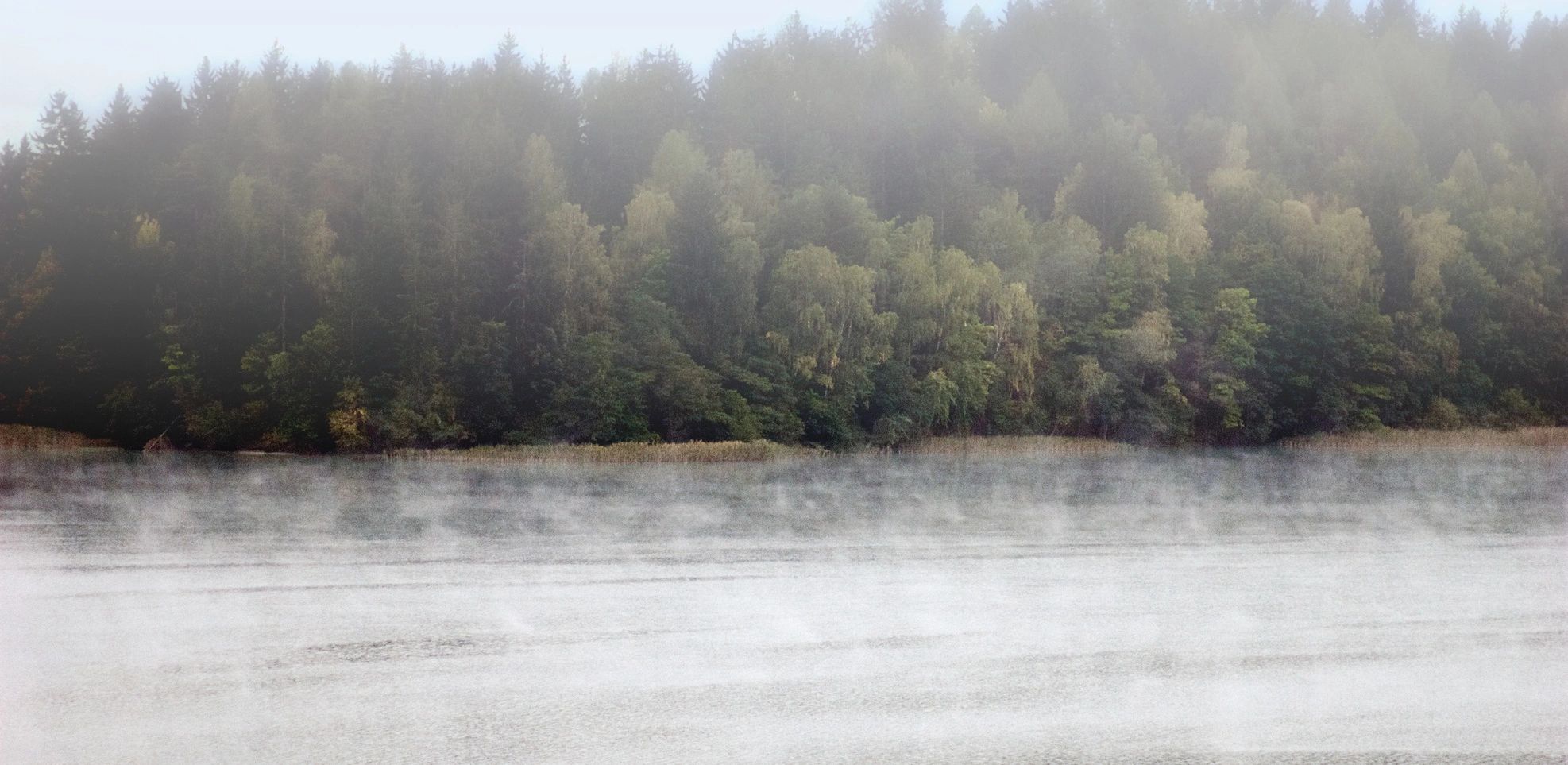 The Spring House Commons