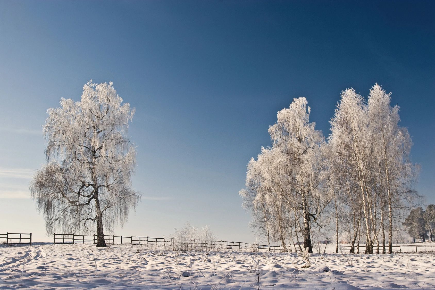 Balancing Seasonal Emotions: Navigating the Ups and Downs