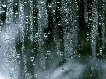 Big L Ranch - Blueberry Farm, Event Venue