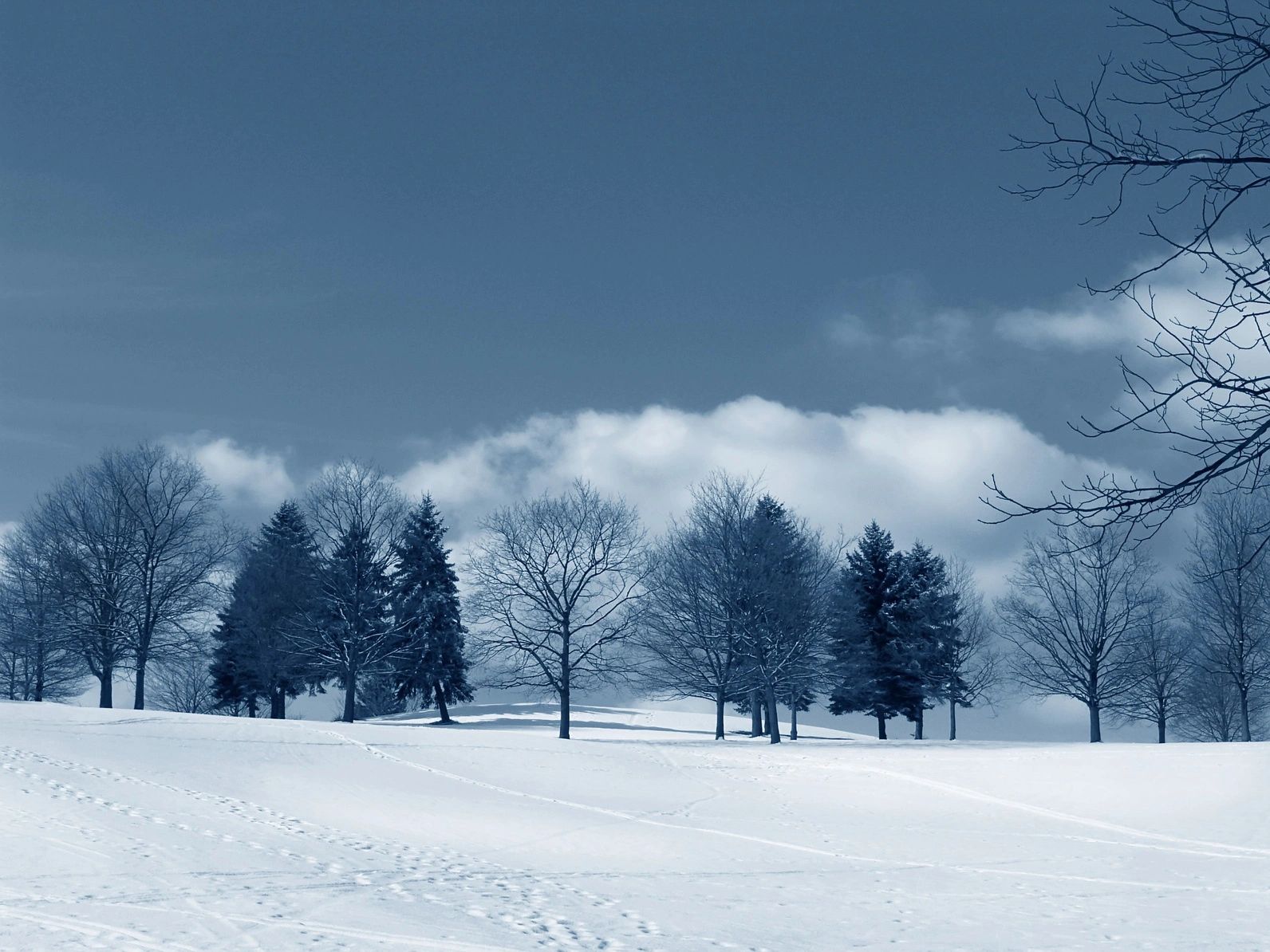 Honoring the Winter Solstice