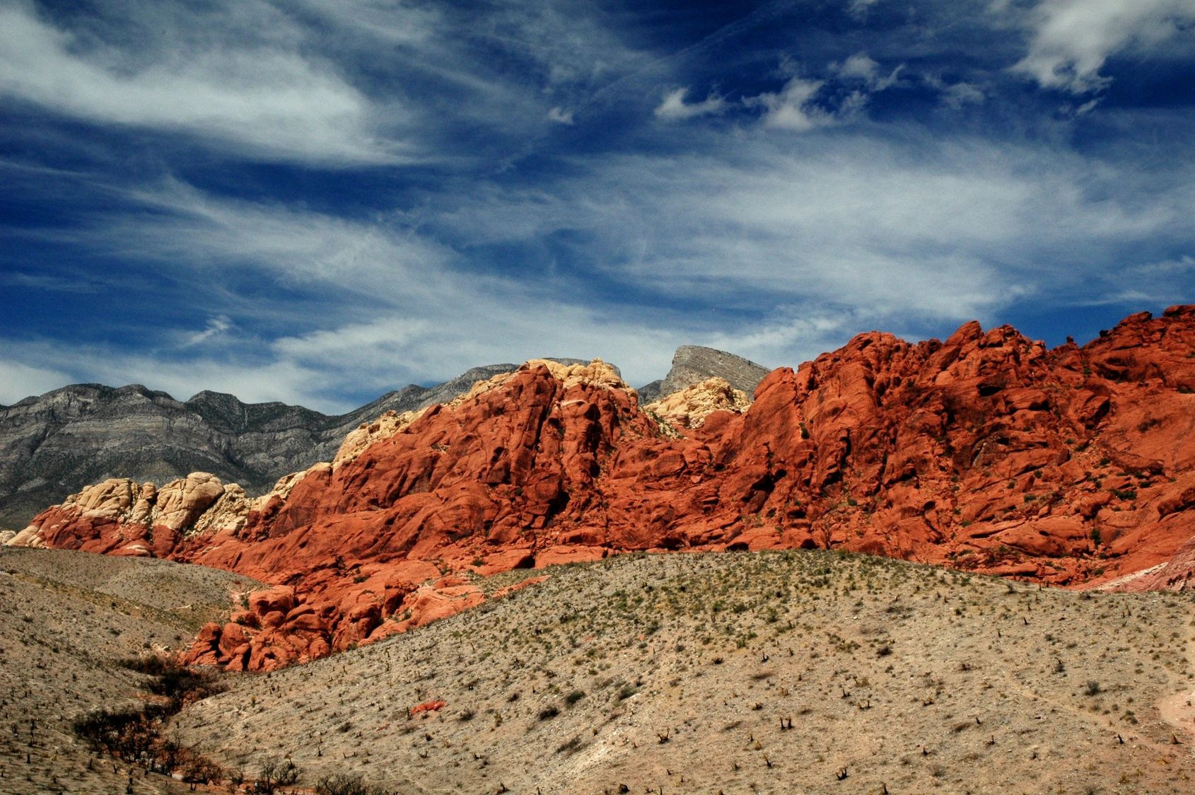 Earth Restoration Project | Conservation Efforts