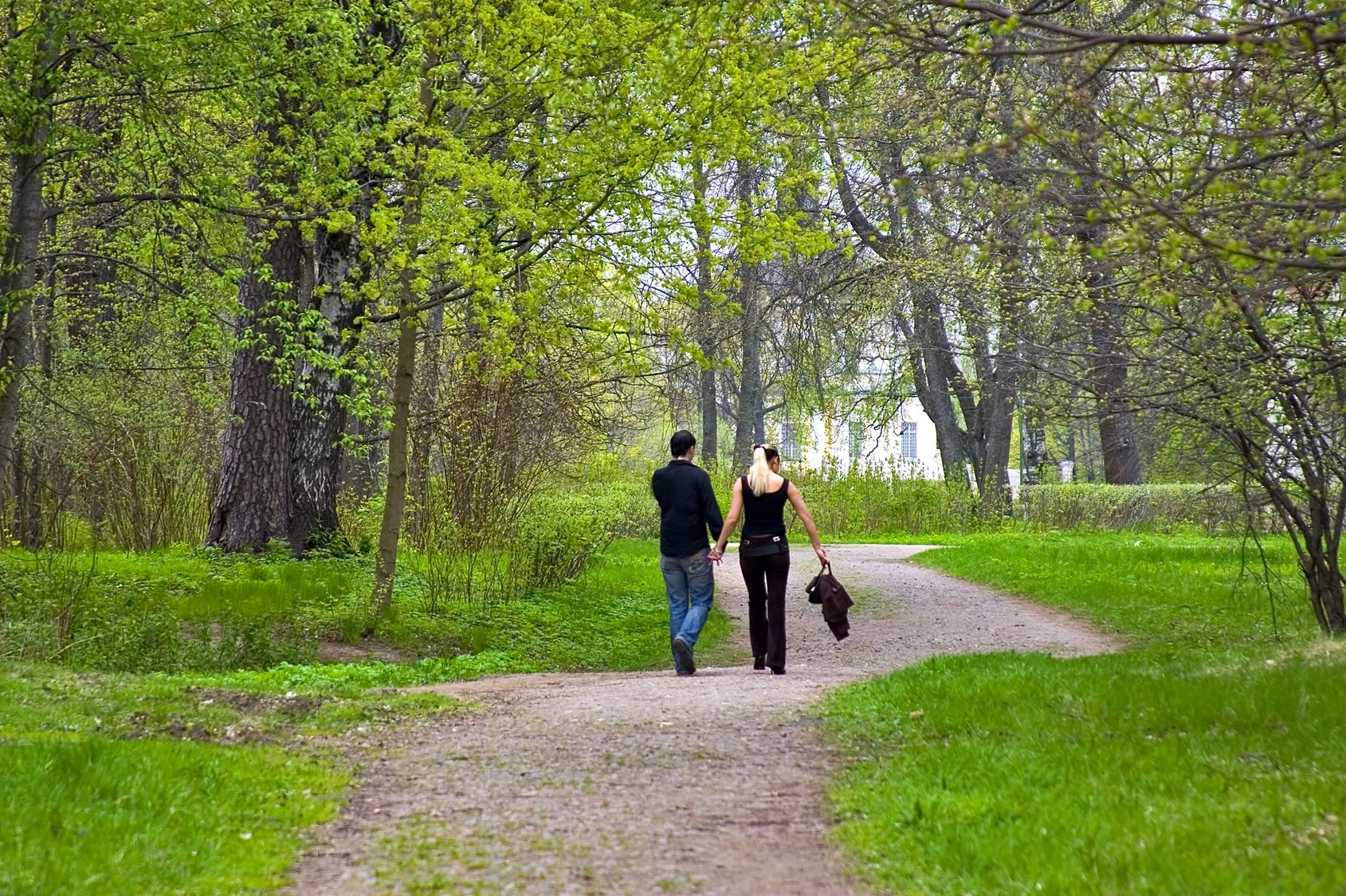 Therapy Connections, LLC