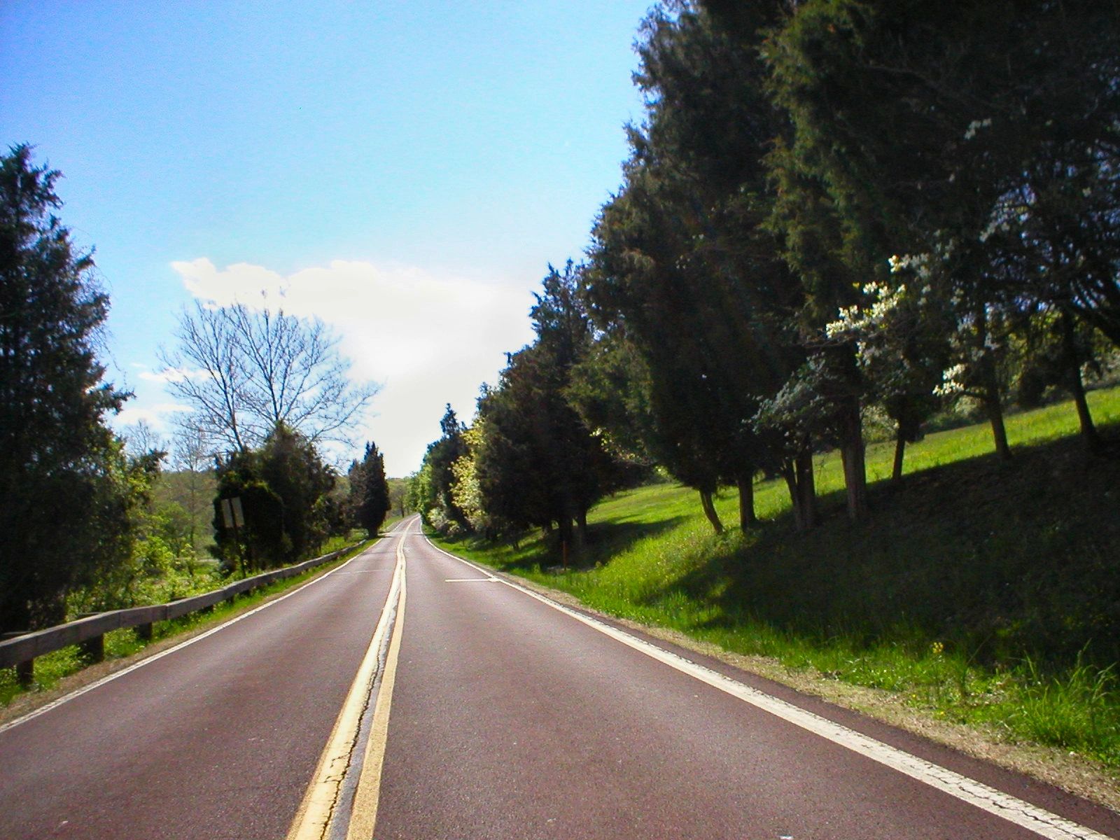Roadside Trash Service