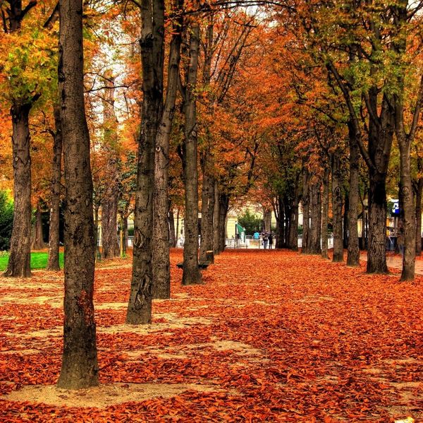 Upland Construction Group