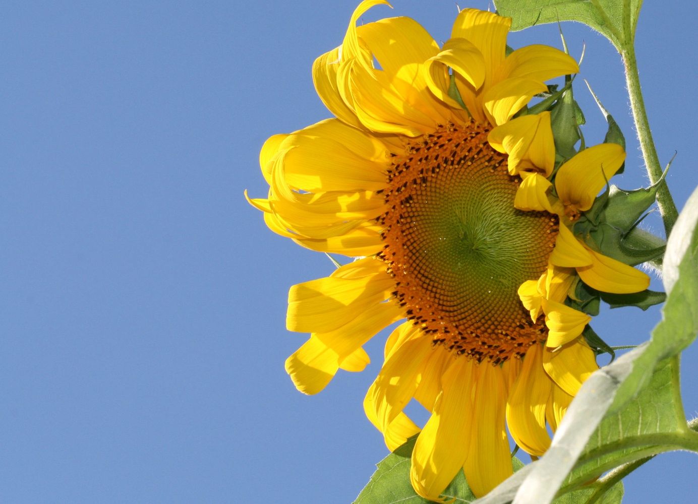 Russell Public Library