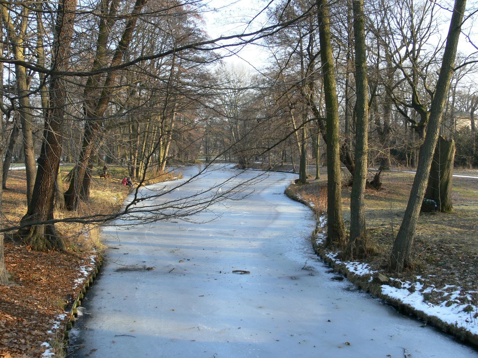 Northern Roots Medical Group