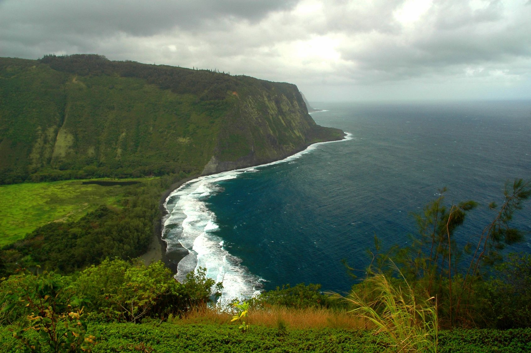 Coastal Farms Hawaii coastalfarms@mail.com