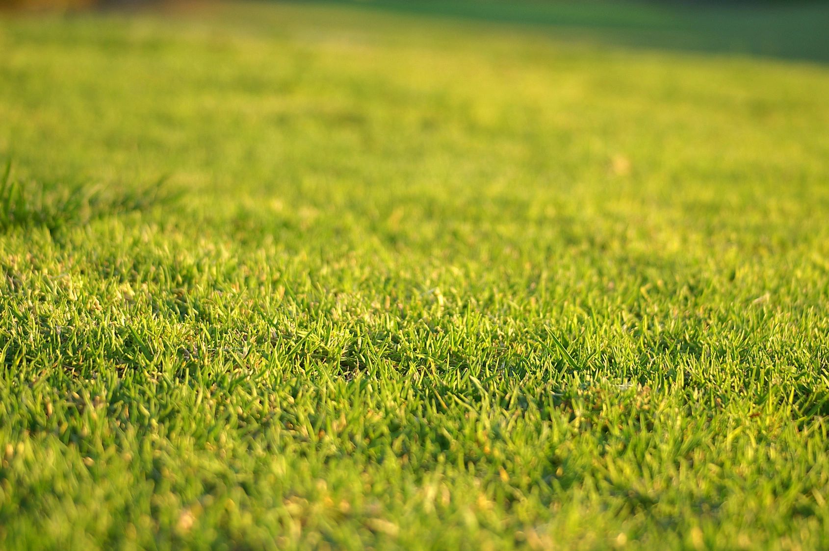 Lawn & Order Lawnscaping LLC - Lawn Care, Aeration