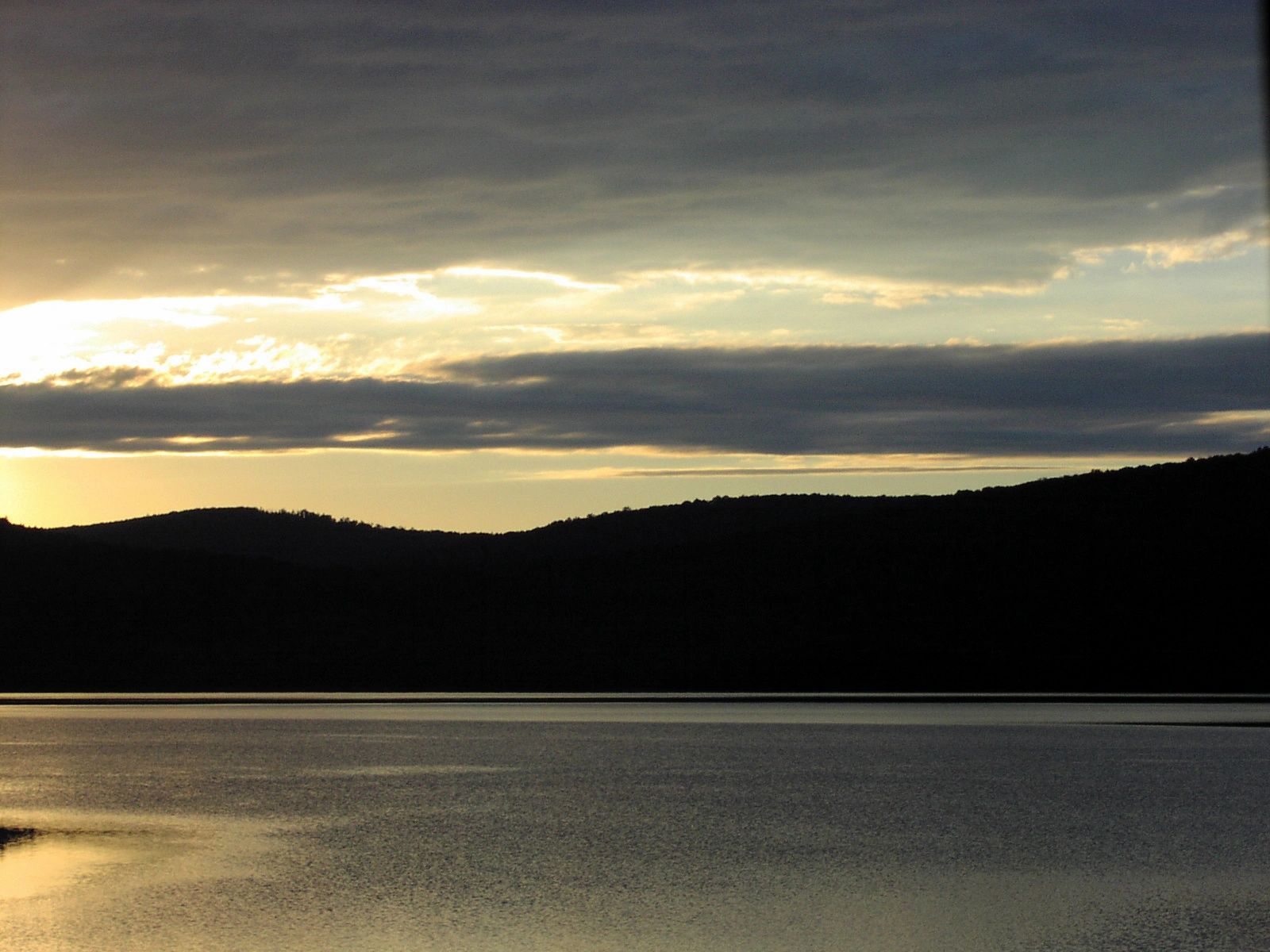 Thyme at Ellison Lake
