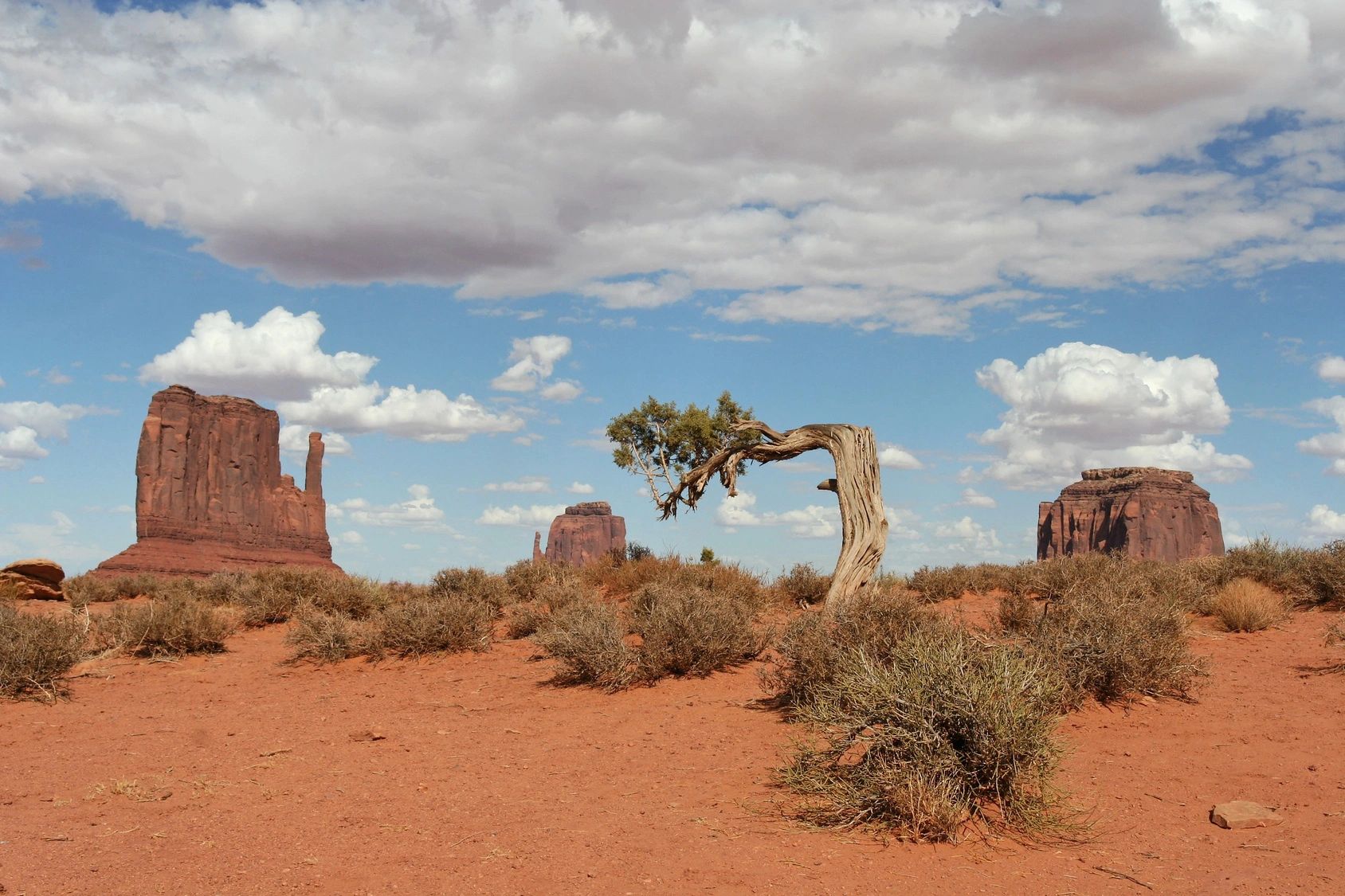 Jordan Sells Arizona