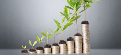 Wealth Management - The DFS Financial Group